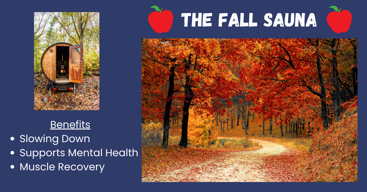 How to Use a Sauna in All Four Seasons: Complete Guide for Year-Around ...