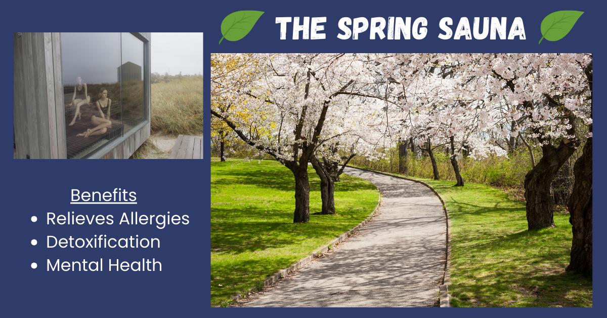 How to Use a Sauna in All Four Seasons: Complete Guide for Year-Around ...